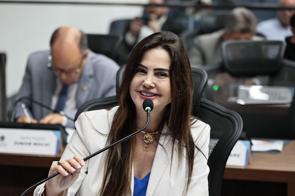 Mara Caseiro solicita instalação de ares-condicionados em todas as ...